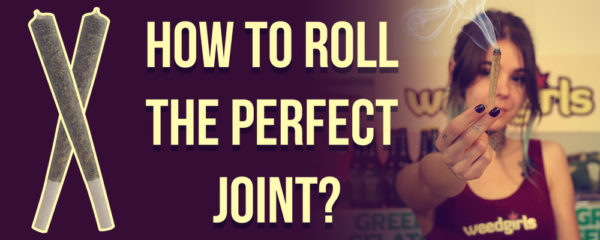Roll a perfect joint with a perfect girl! – Weed Girls | Sexy girls ...