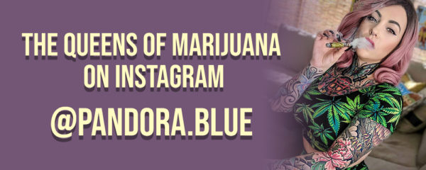The Queens of Marijuana on Instagram – Part 1 – Weed Girls | Sexy girls ...