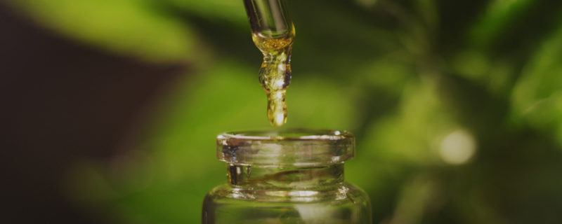 Random – Weed Girls | Sexy girls smoking weed